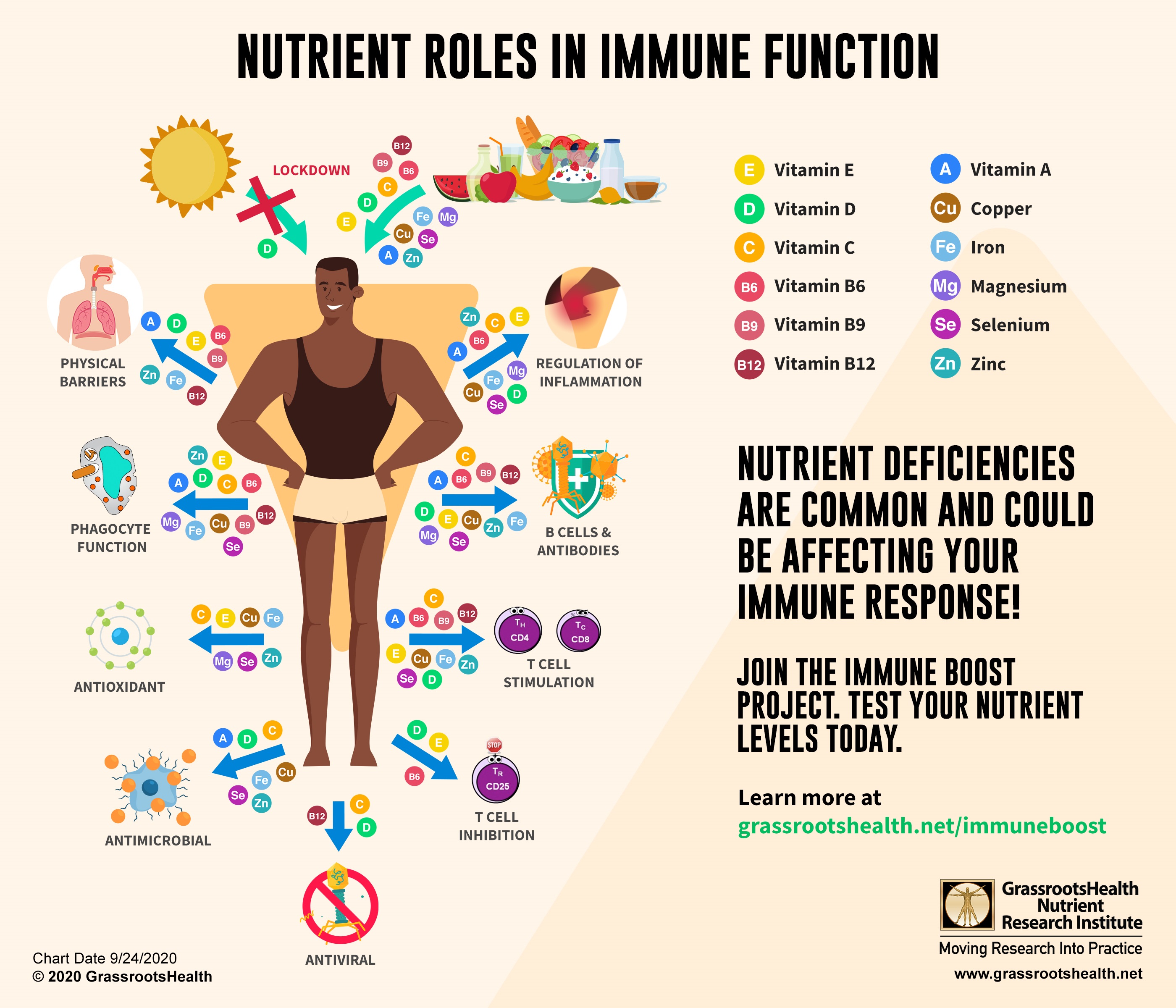Nutrient Roles In Immune Function Infographic GrassrootsHealth