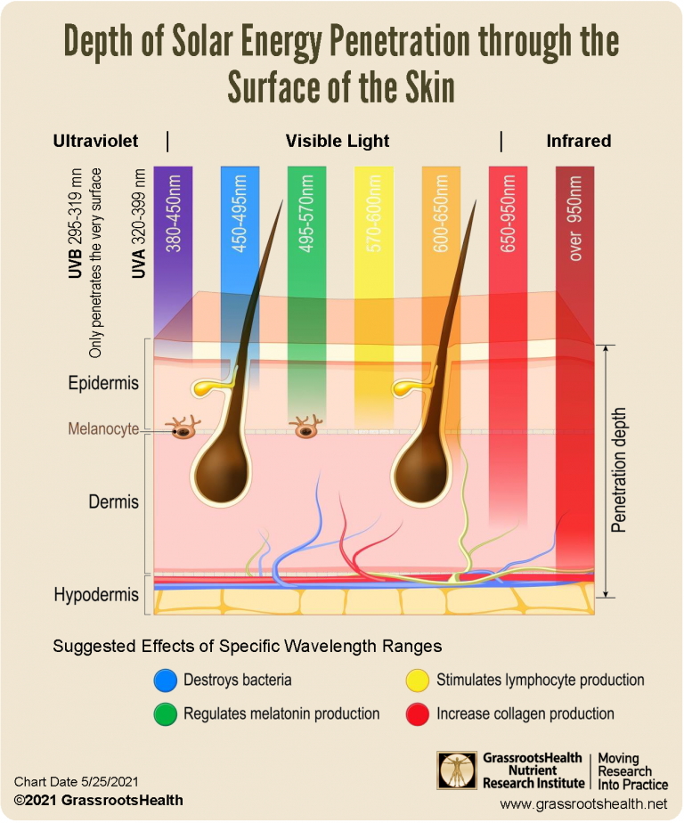 Light through Skin Surface Diagram - GrassrootsHealth