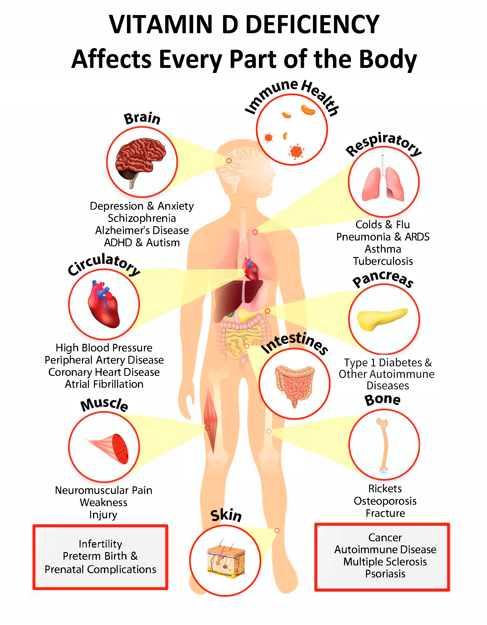 Vitamin D Deficiency Skin Vitamin D Deficiency Skin